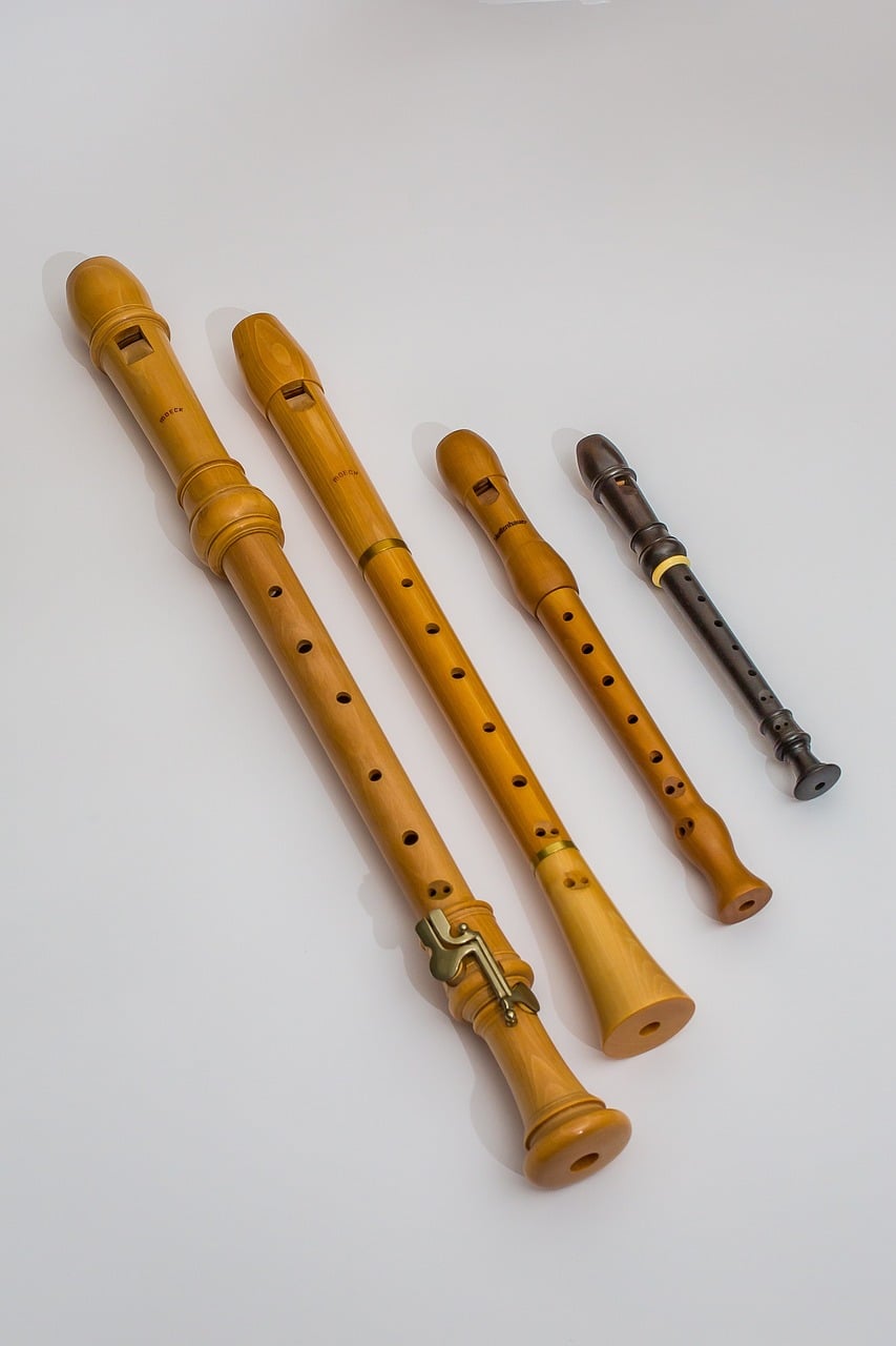 39+ Easy Recorder Songs for Kids and Beginners - Daddy Simply